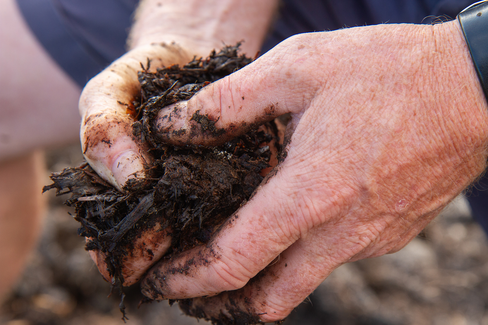 Weltblick eines Humusbauern